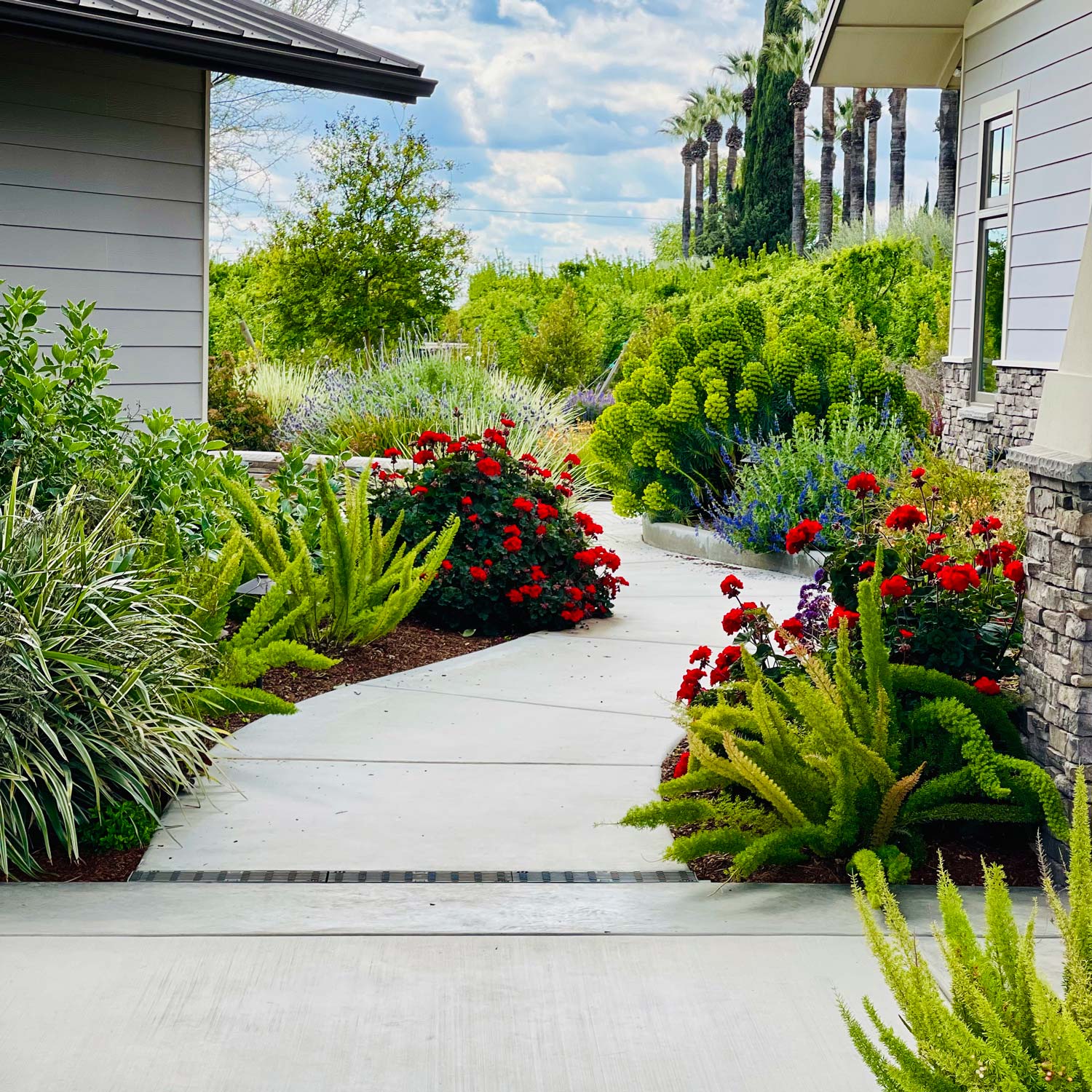 Ornamental Planting and Xeriscape Visalia CA - 33 Landscapes Inc
